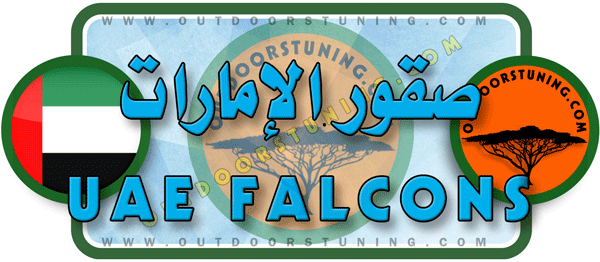 UAE Falcons, Dubai International City, Dubai
